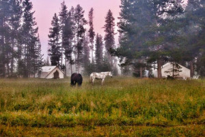 Jackson Hole Wyoming Campgrounds - AllTrips