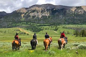Jackson Hole Horseback Riding, Horse Trail Rides - AllTrips