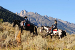 Jackson Hole Horseback Riding, Horse Trail Rides - AllTrips
